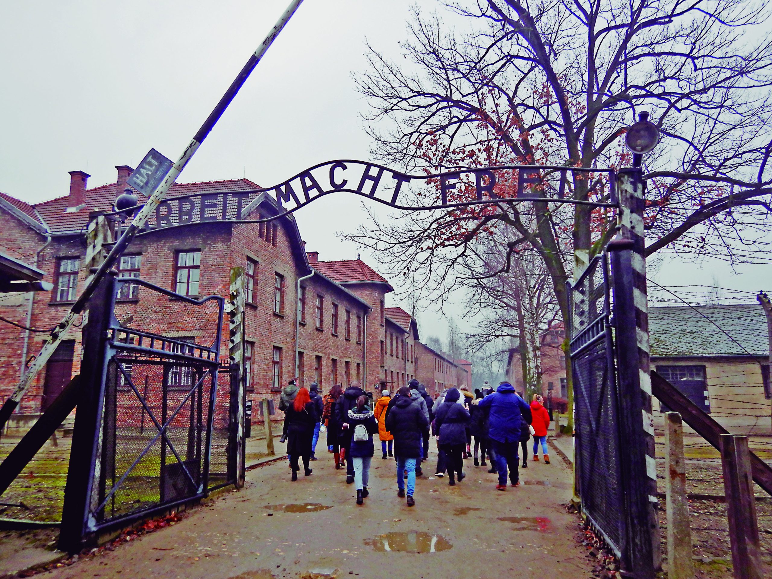 La rebelión de los gitanos en Auschwitz - Underground Periodismo ...